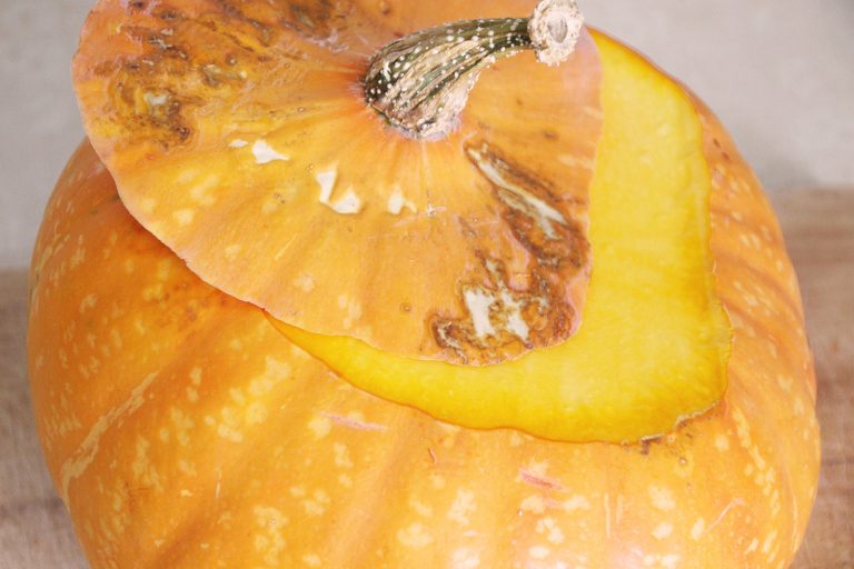 Rot in Stored Winter Squash - Rural Dreams